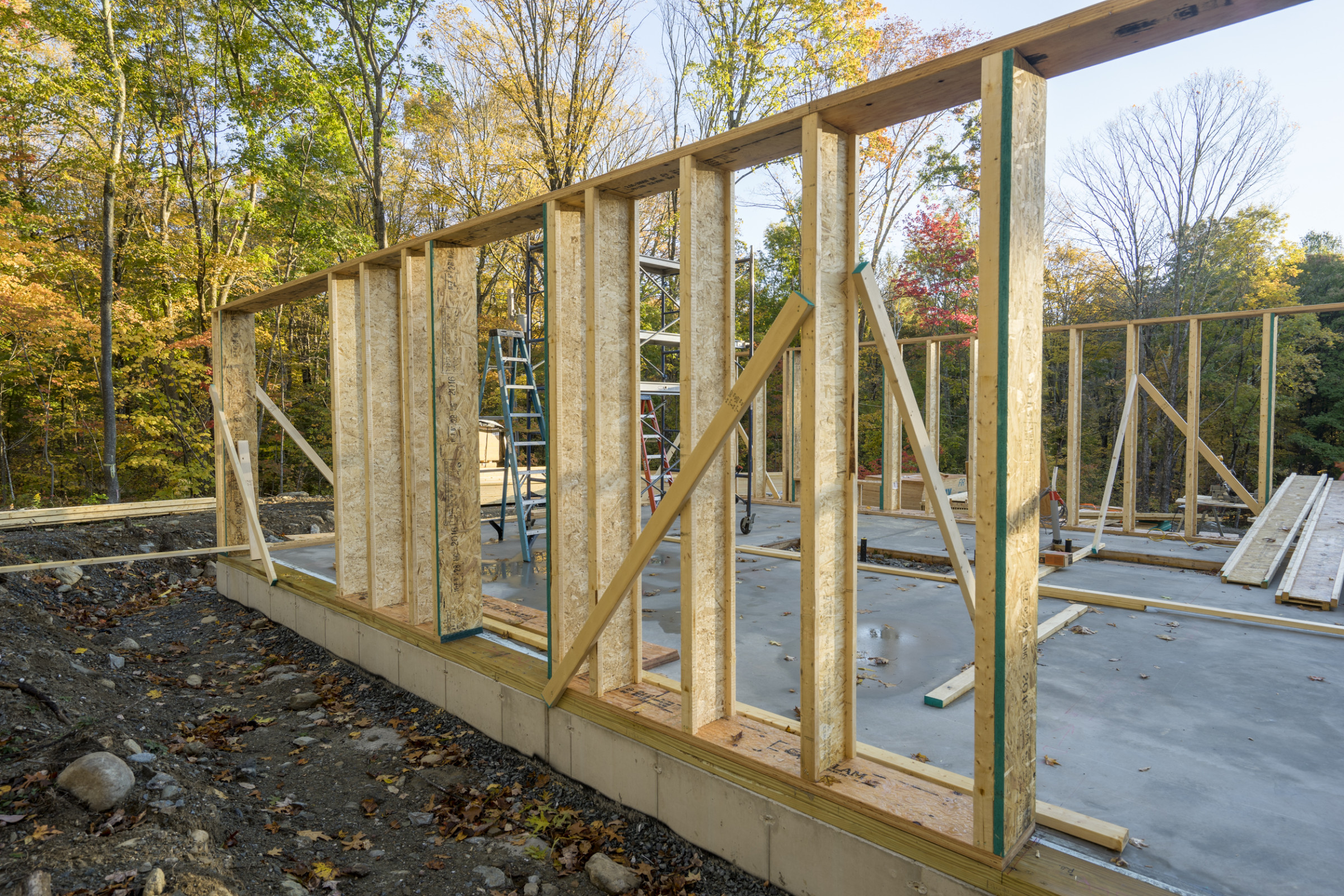 HOUSE FOUR – EASTON COMBS